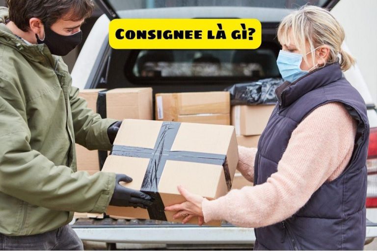 Consignee là gì? Tìm hiểu mối quan hệ Consignee và Notify Party