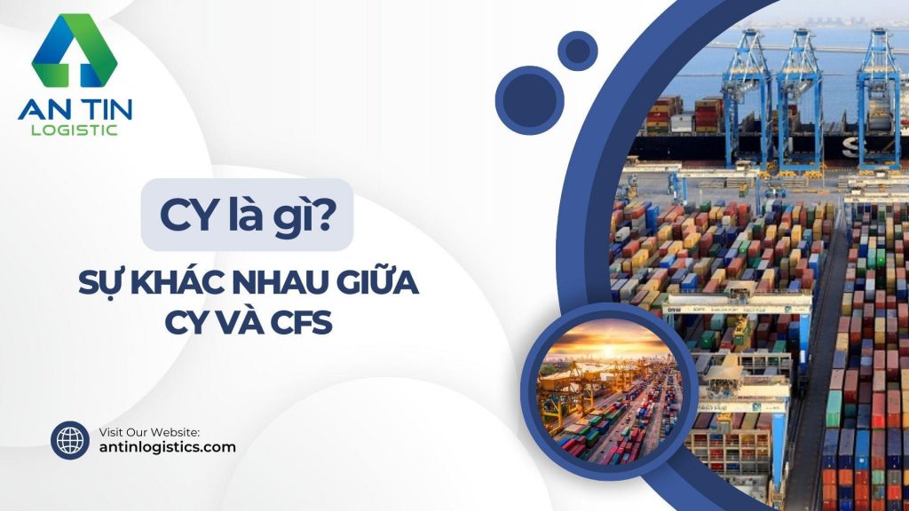 CY là gì? Phân biệt sự khác nhau giữa CY và CFS trong Logistics