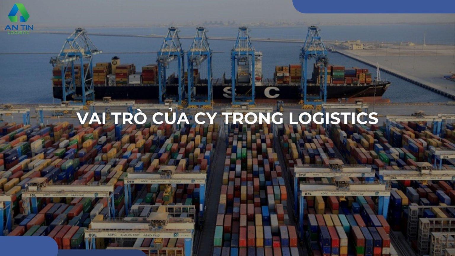 CY là gì? Phân biệt sự khác nhau giữa CY và CFS trong Logistics